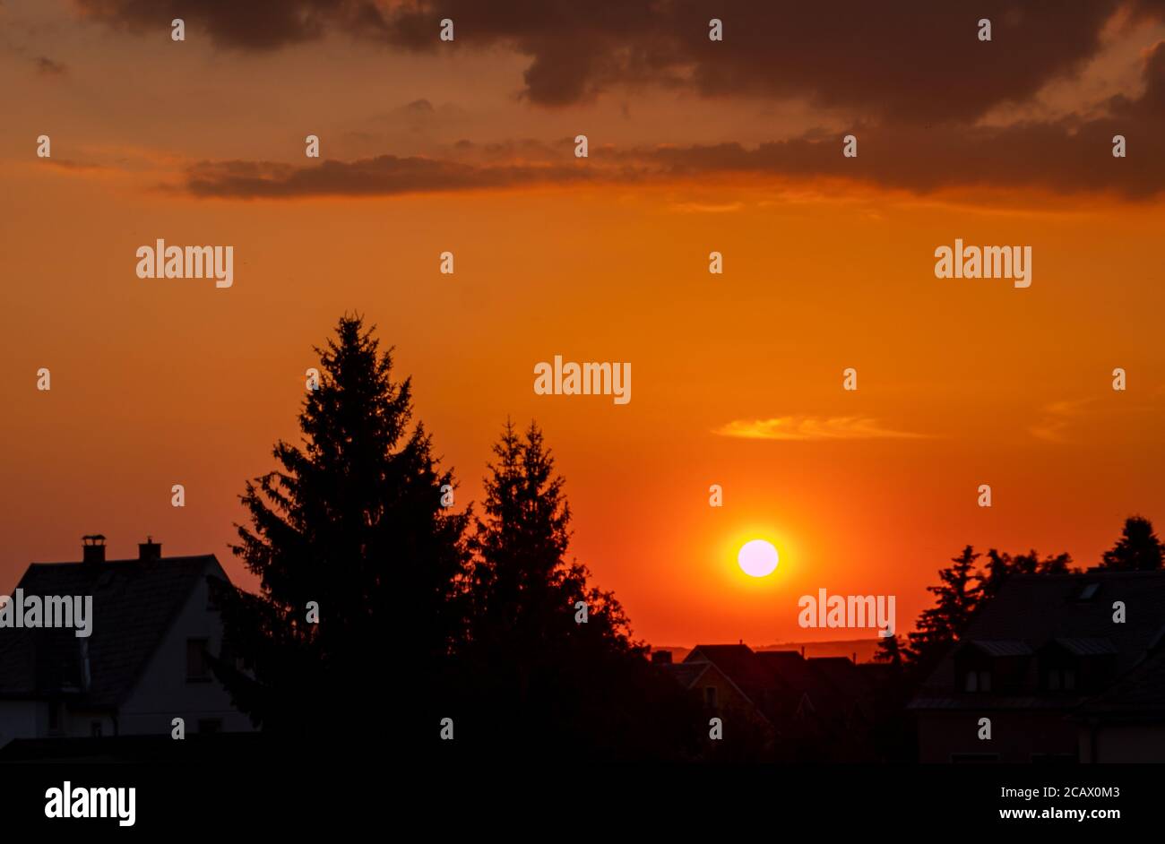 Sunset over night forest hi-res stock photography and images - Alamy