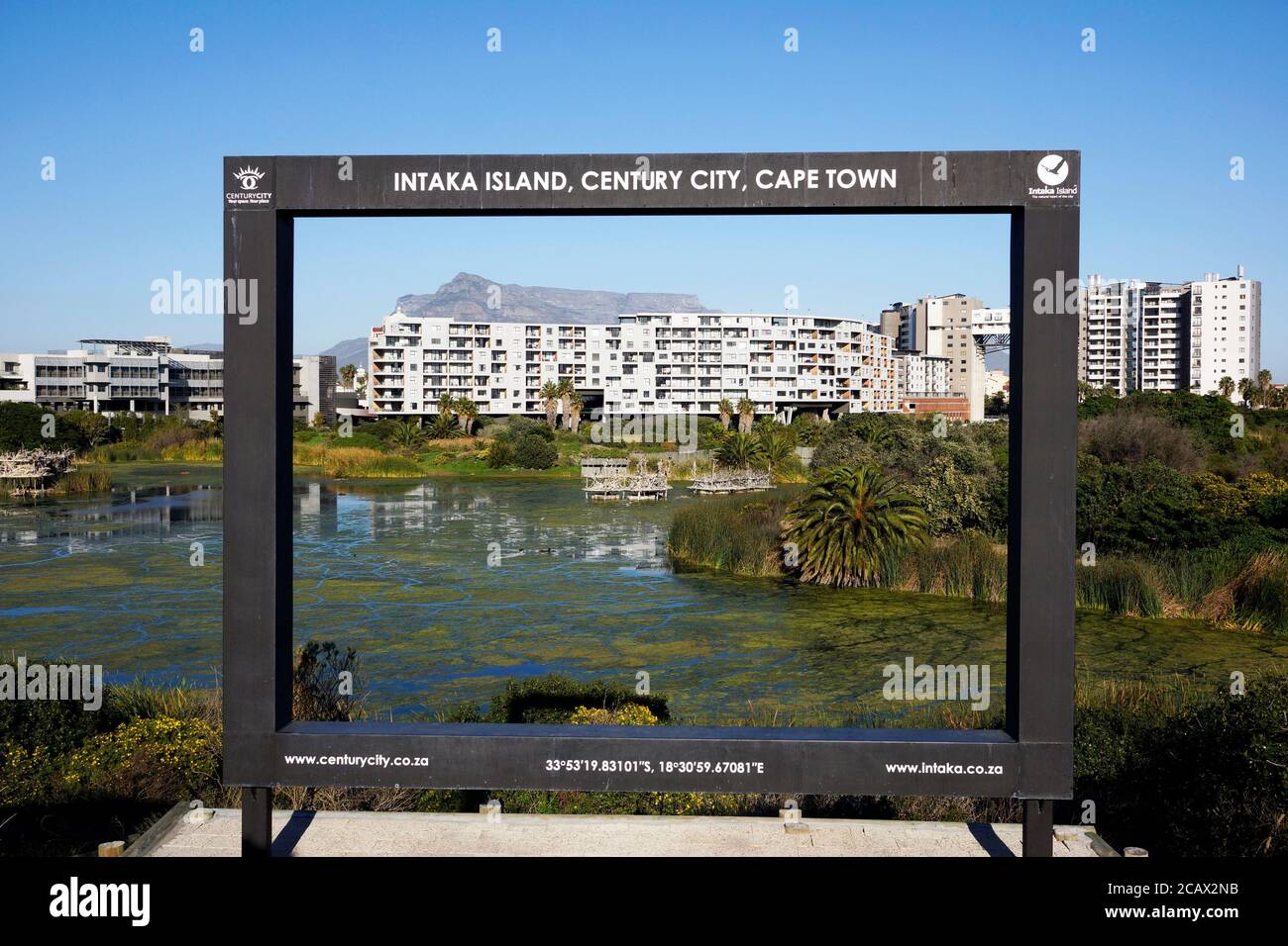 Intaka Island Bird Sanctuary, Century City, Cape Town, South Africa ...