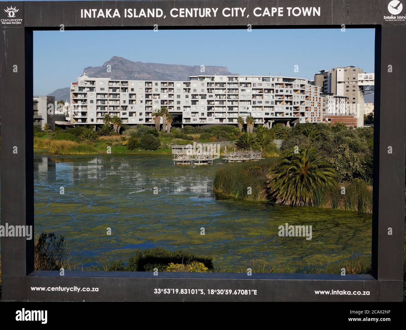 Intaka Island Bird Sanctuary, Century City, Cape Town, South Africa ...