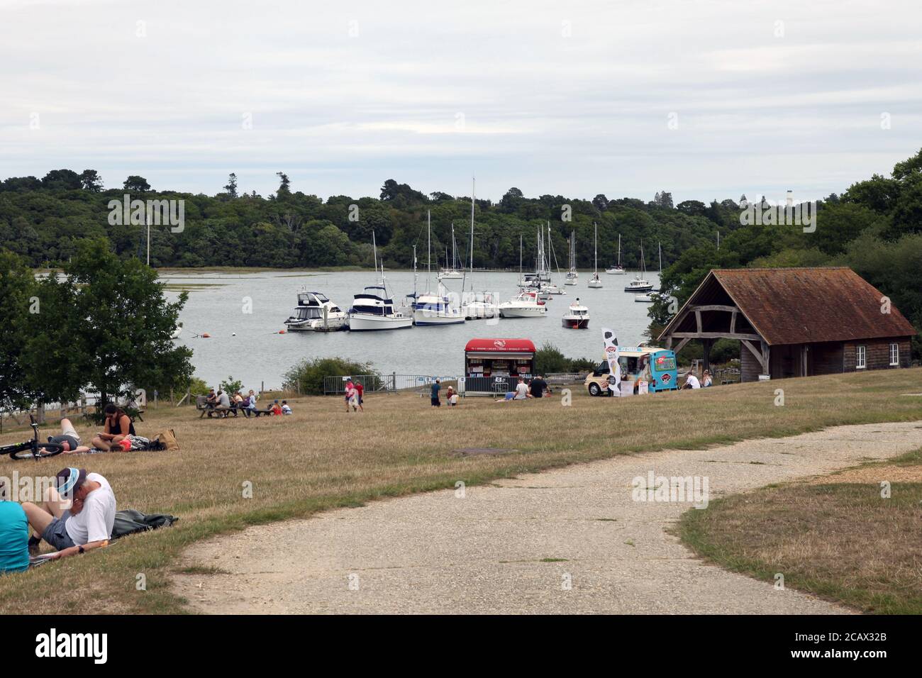 New forest sightseeing hi-res stock photography and images - Alamy