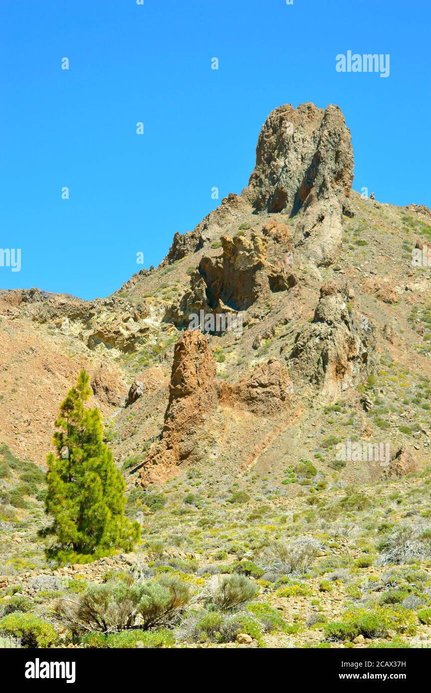 Boca Tauce in Mount Teide National Park in Tenerife Stock Photo - Alamy