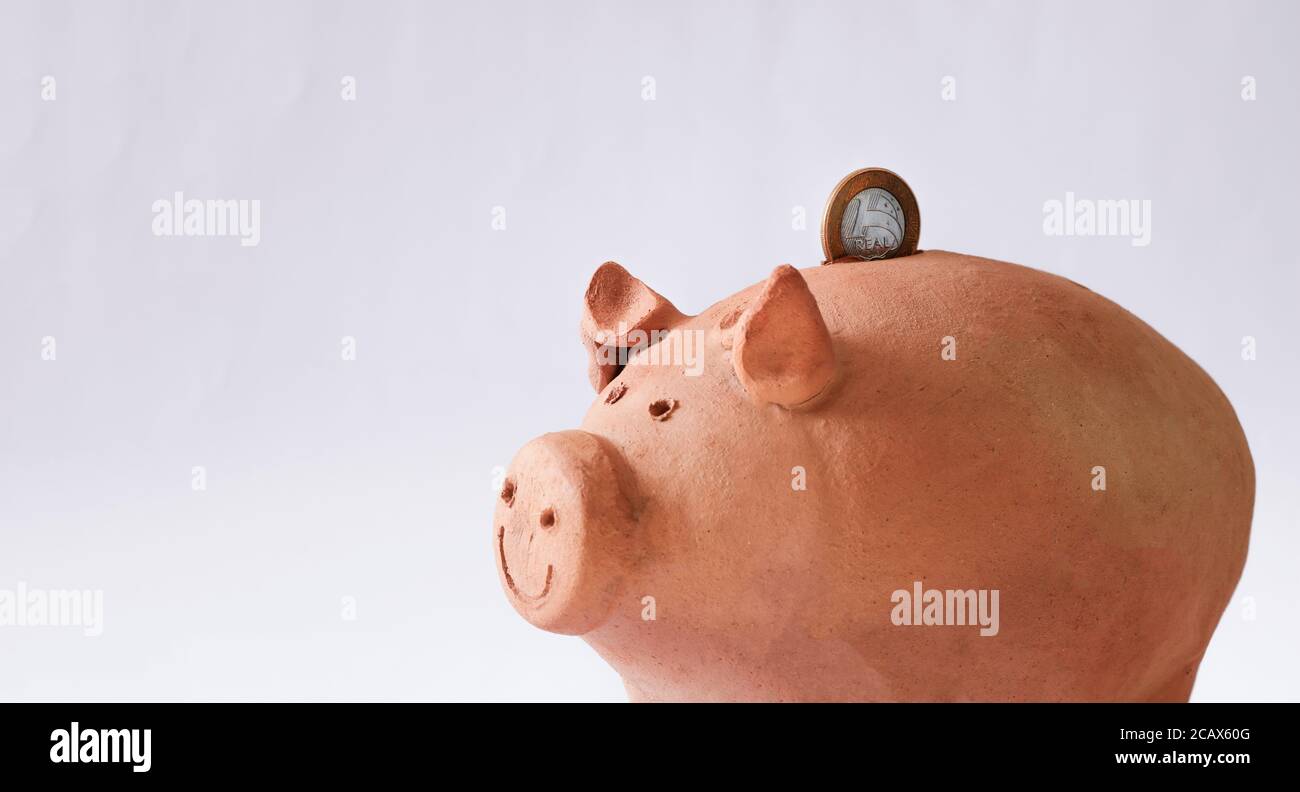 Pig coin with Brazilian money and coins Stock Photo - Alamy
