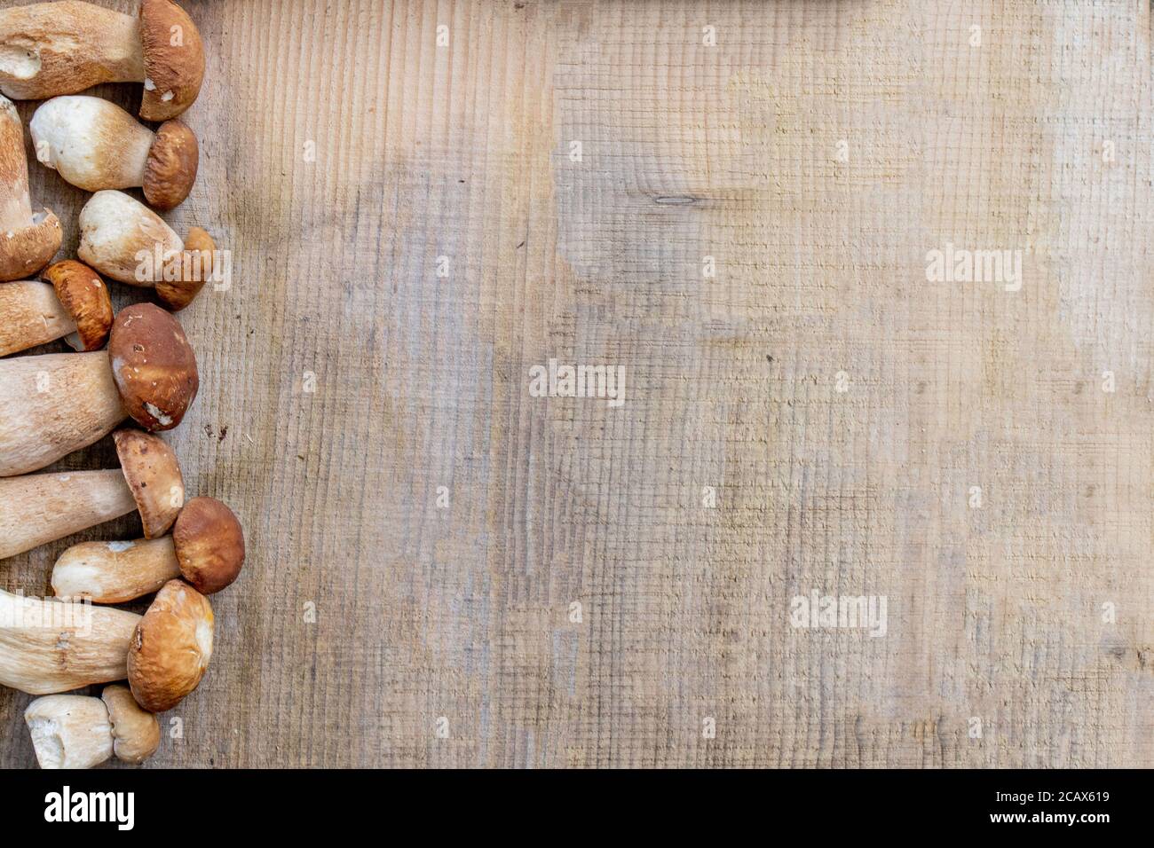 Mushroom Boletus over Wooden Background. Autumn Cep Mushrooms. Ceps ...