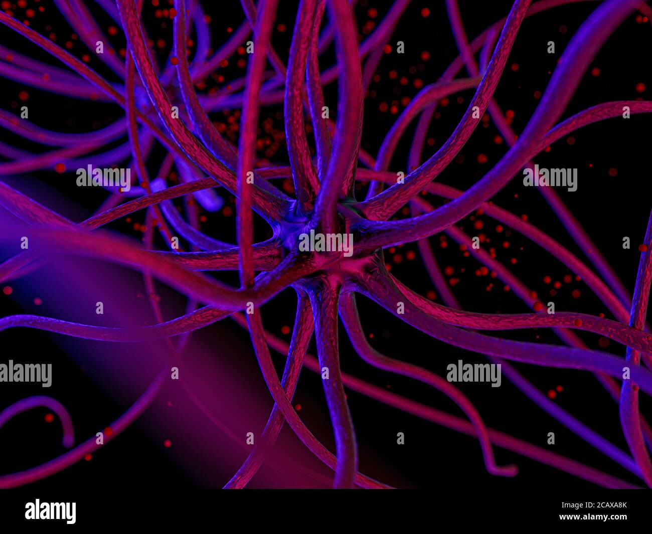 Vascular plant fine roots looking like a neural network. 3D rendering ...