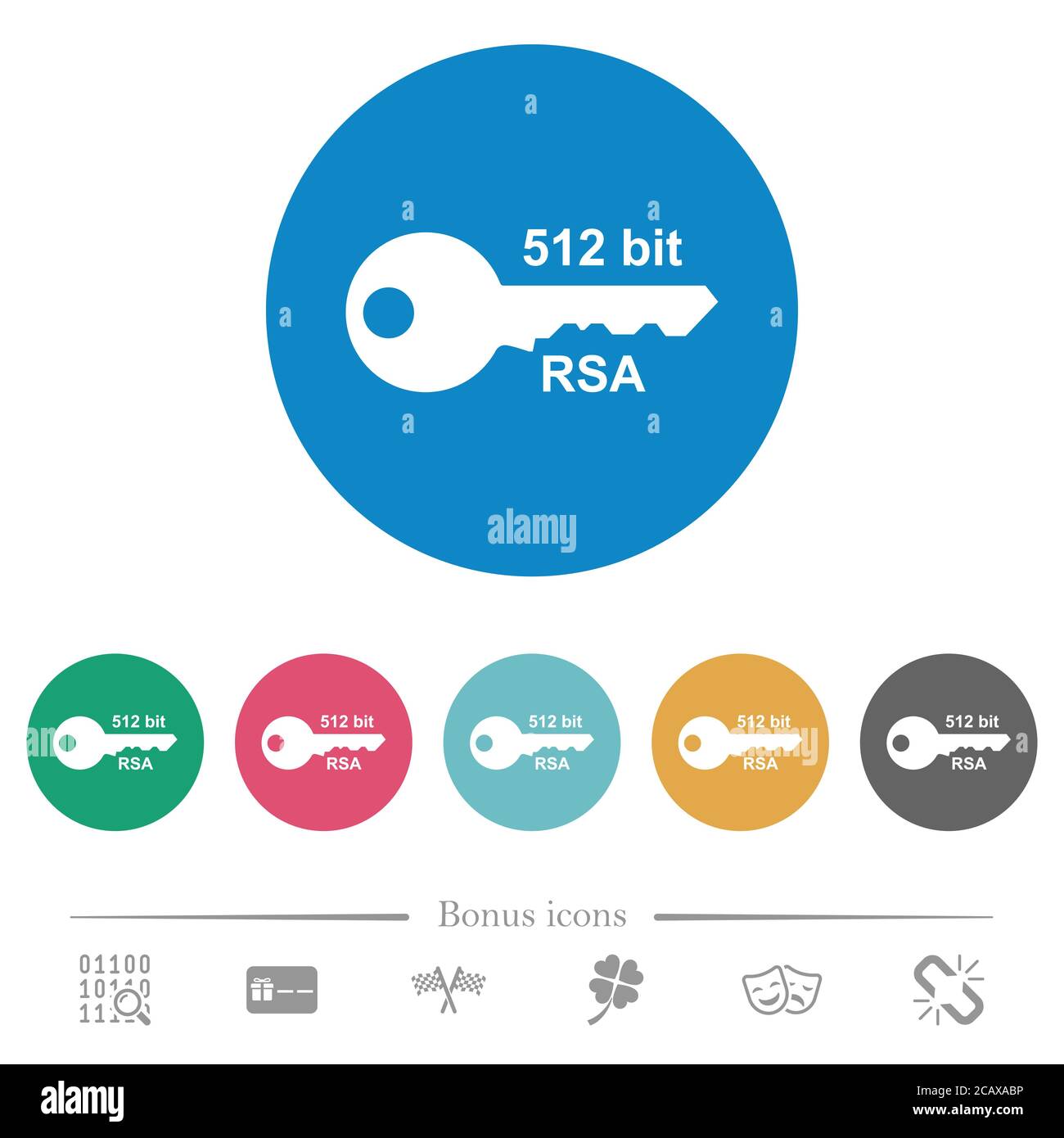 512 bit rsa encryption flat white icons on round color backgrounds. 6 ...