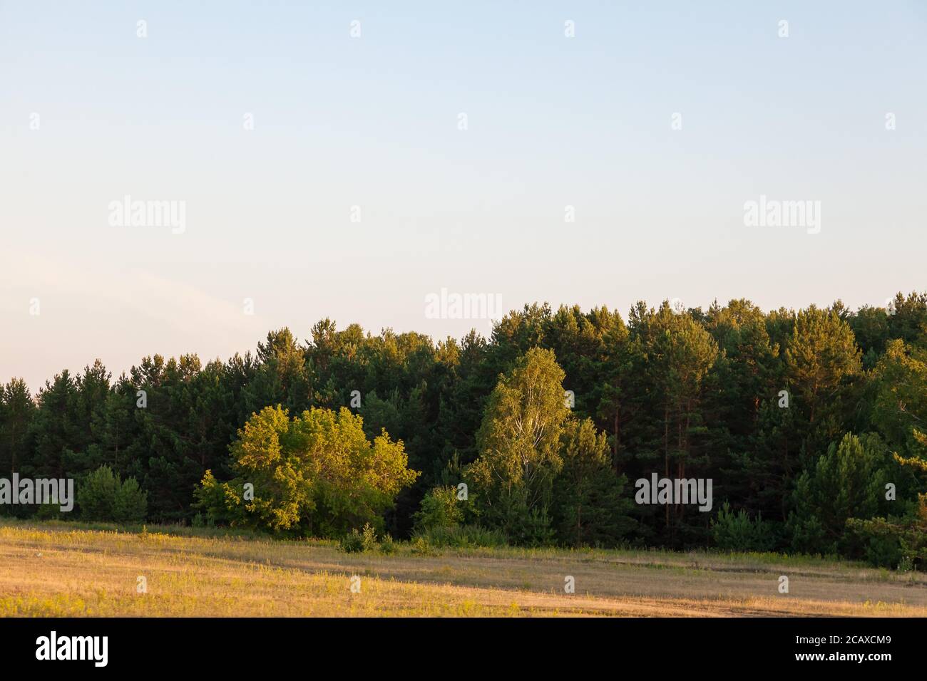 Dense plantations hi-res stock photography and images - Alamy