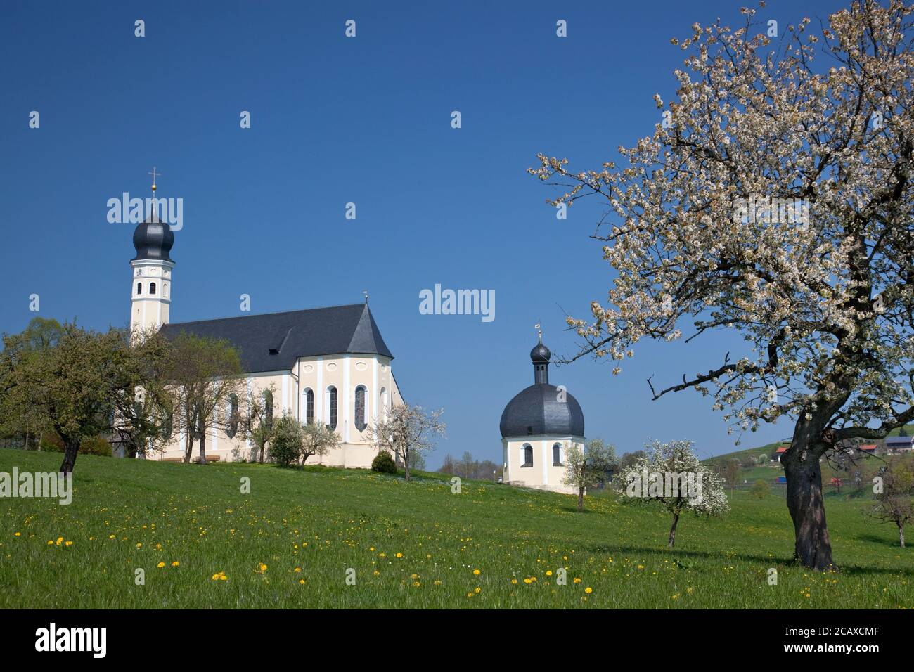 geography / travel, Germany, Bavaria, Irschenberg, pilgrimage church St ...