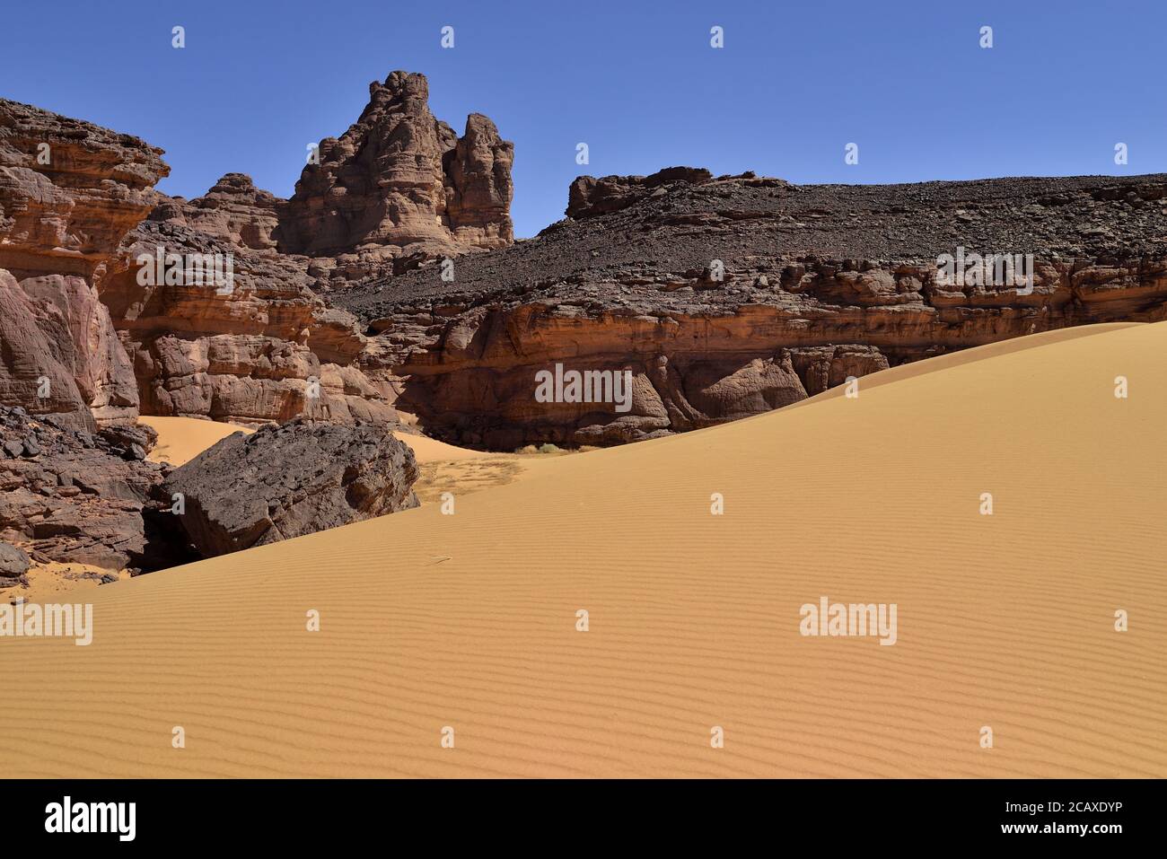 SAHARA SAND DUNES, ROCK FORMATIONS, DESERT PLANTS AND SHRUBS IN ALGERIA ...