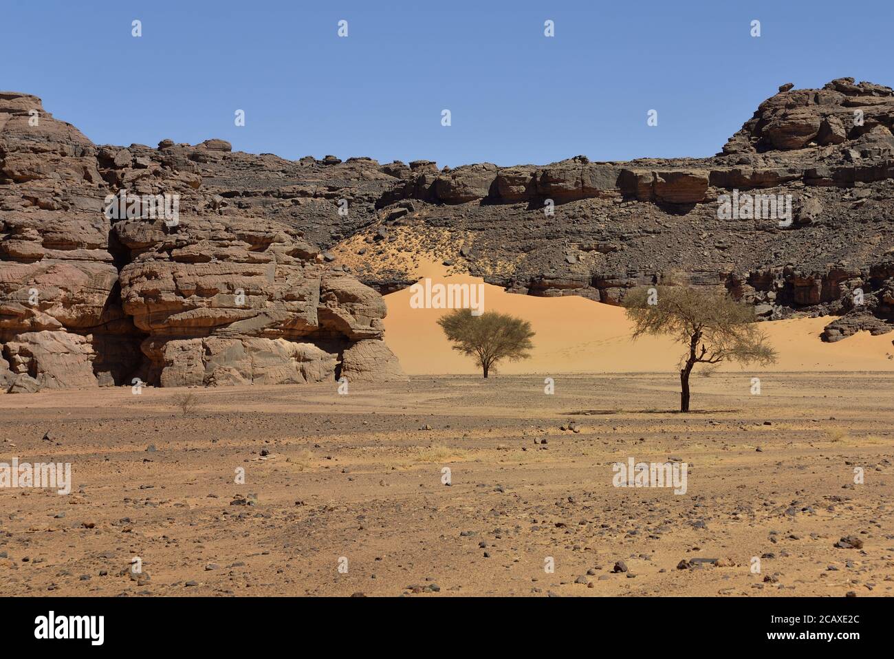 SAHARA SAND DUNES, ROCK FORMATIONS, DESERT PLANTS AND SHRUBS IN ALGERIA ...