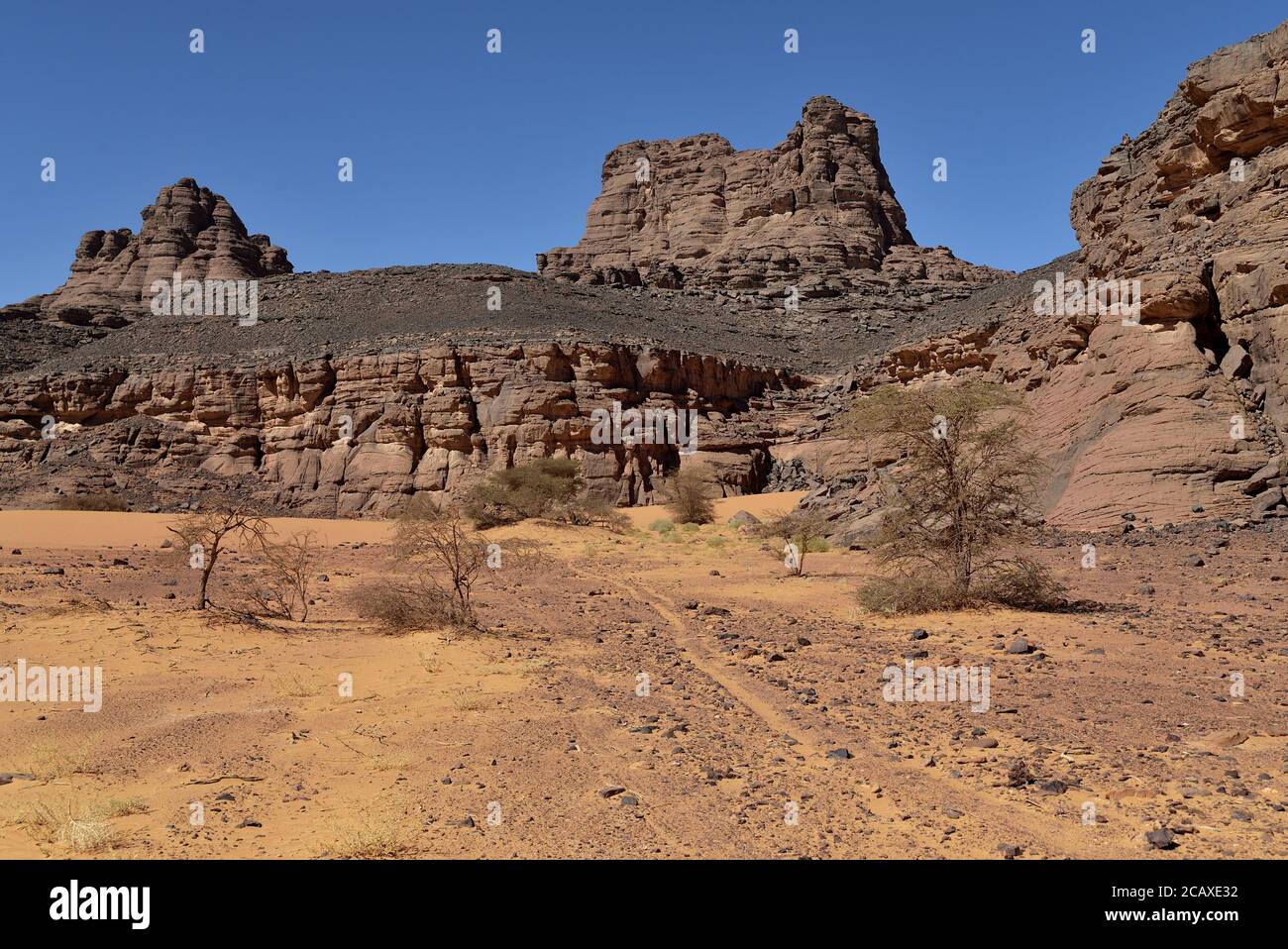 SAHARA SAND DUNES, ROCK FORMATIONS, DESERT PLANTS AND SHRUBS IN ALGERIA ...