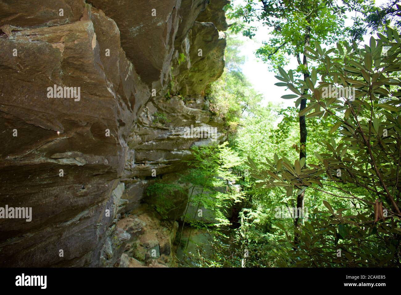 Natural Bridge, Kentucky Stock Photo - Alamy