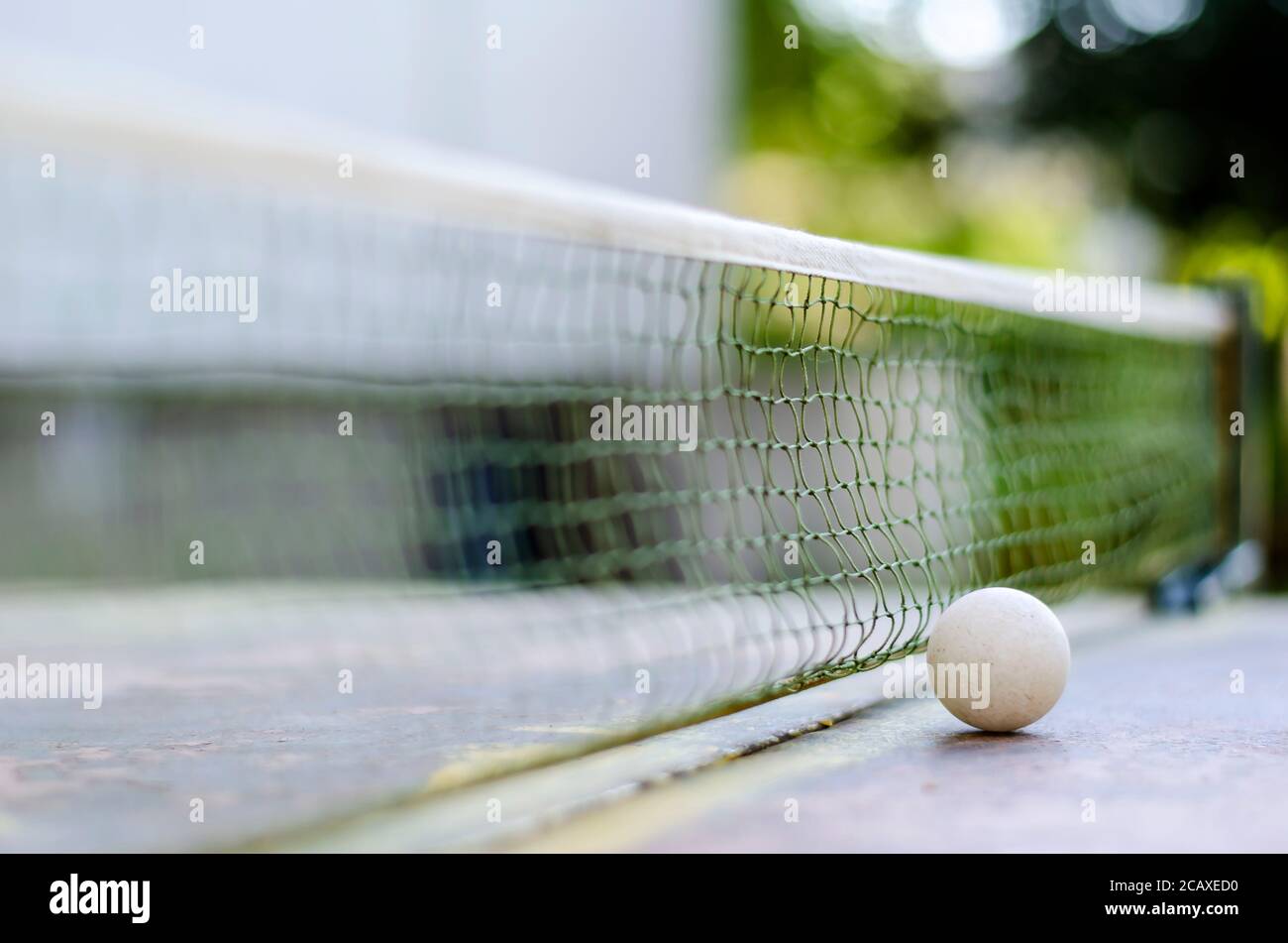 Close-up of ping pong ball next to the net on tennis table. Metal ...