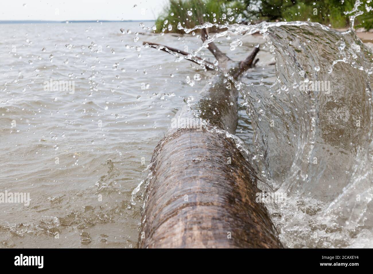The beating waves of the river against a log near the sandy shore wash ...