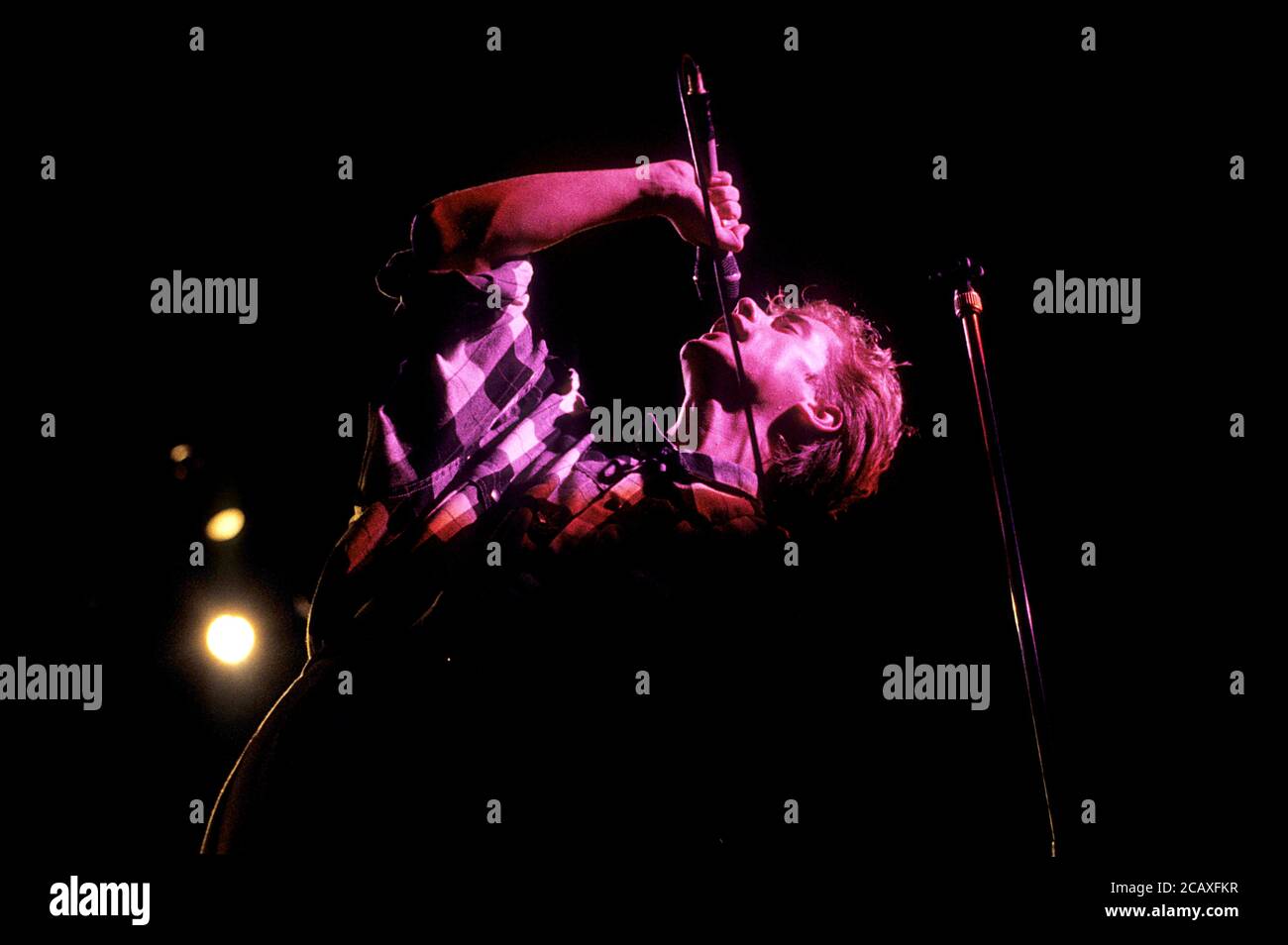 Nick heyward singer hi-res stock photography and images - Alamy