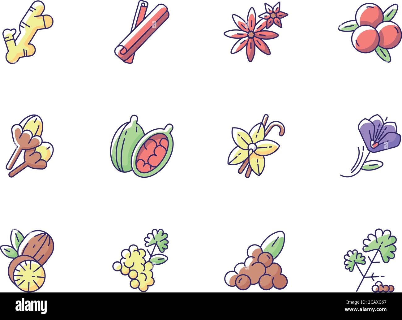 Indian spices RGB color icons set. Aromatic flavoring. Cinnamon and ...