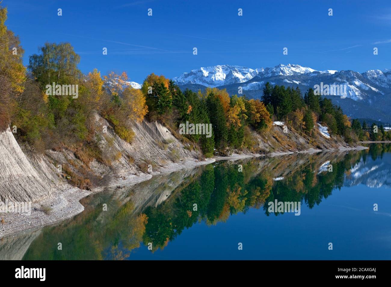 Lake forggensee and the alpine foothills hi-res stock photography and ...
