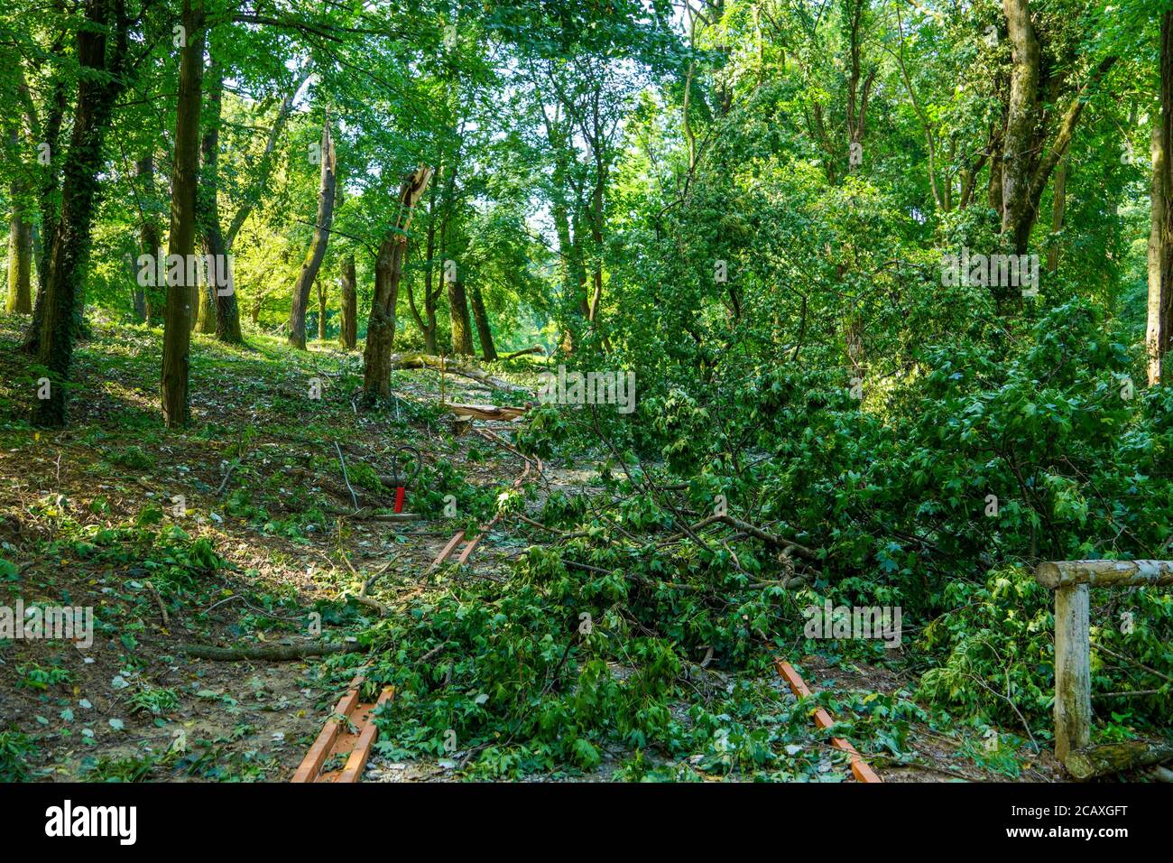 Destroyed by nature hi-res stock photography and images - Alamy