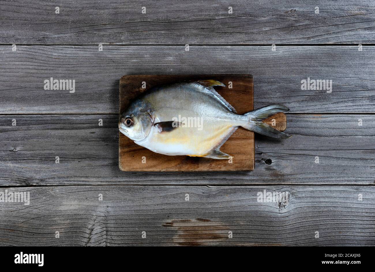 Overhead view of a fresh whole silver or white pomfret fish on wooden ...