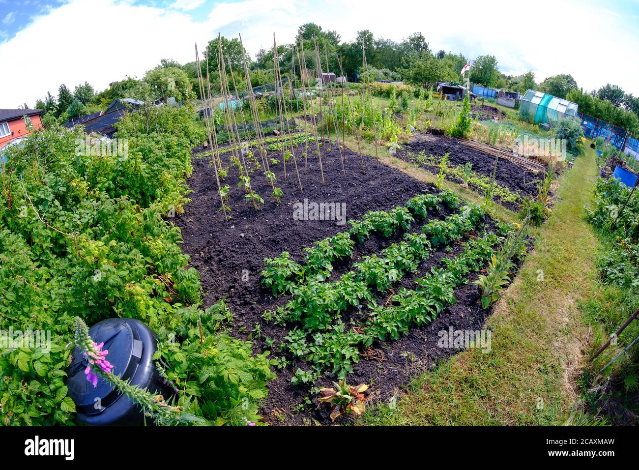 Allotment overview hi-res stock photography and images - Alamy