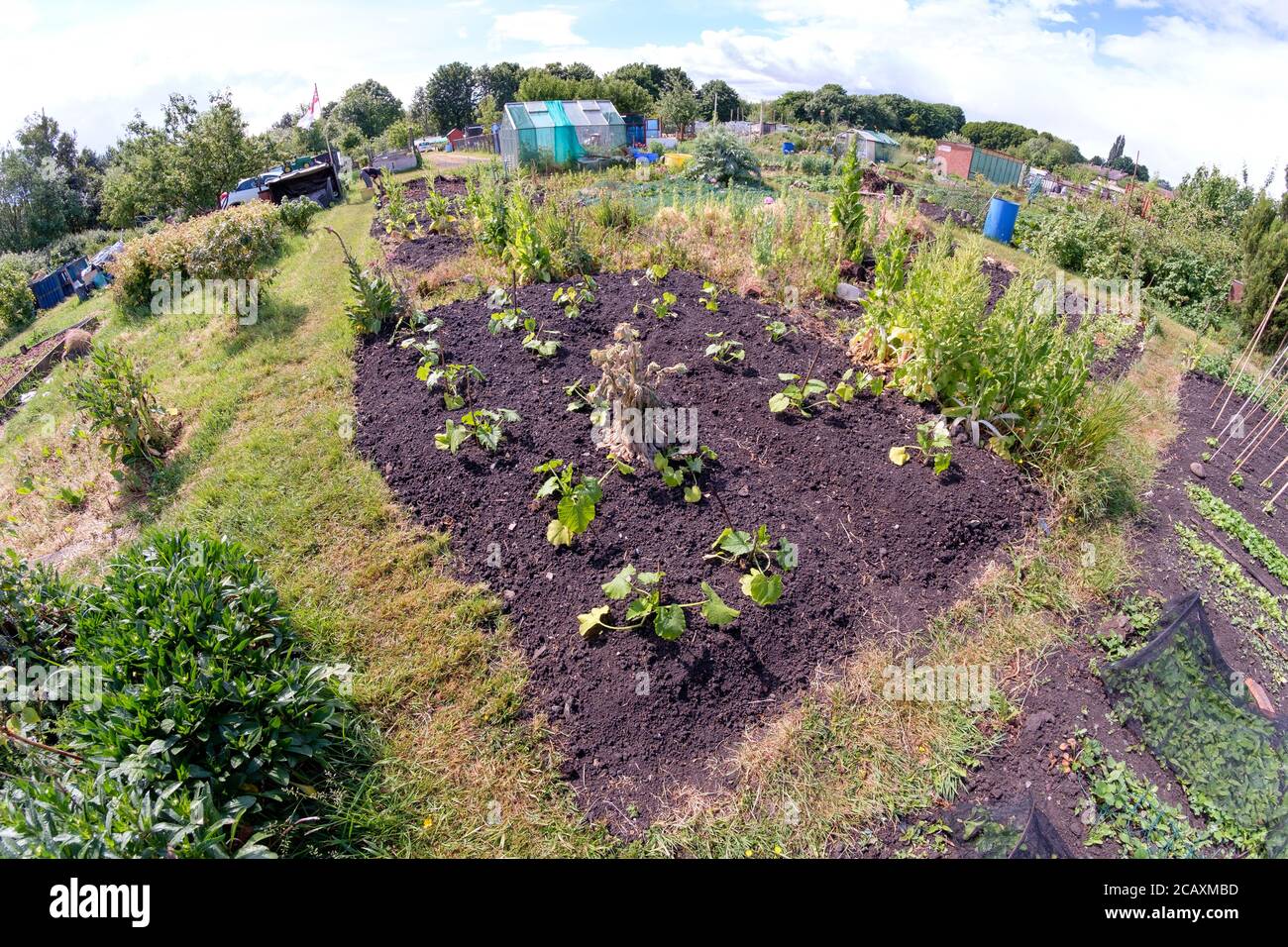 Allotment view hi-res stock photography and images - Alamy