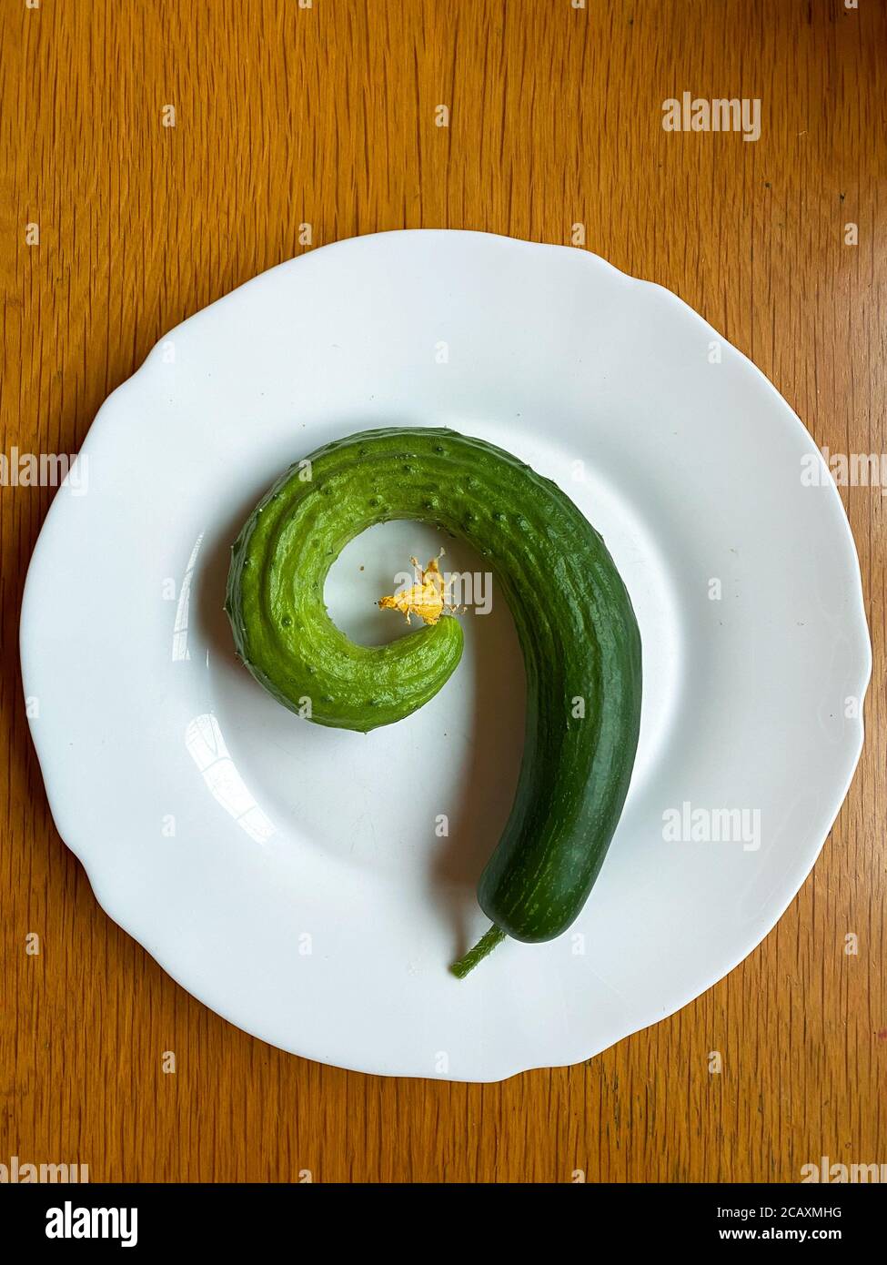 Cucumber shaped hi-res stock photography and images - Alamy