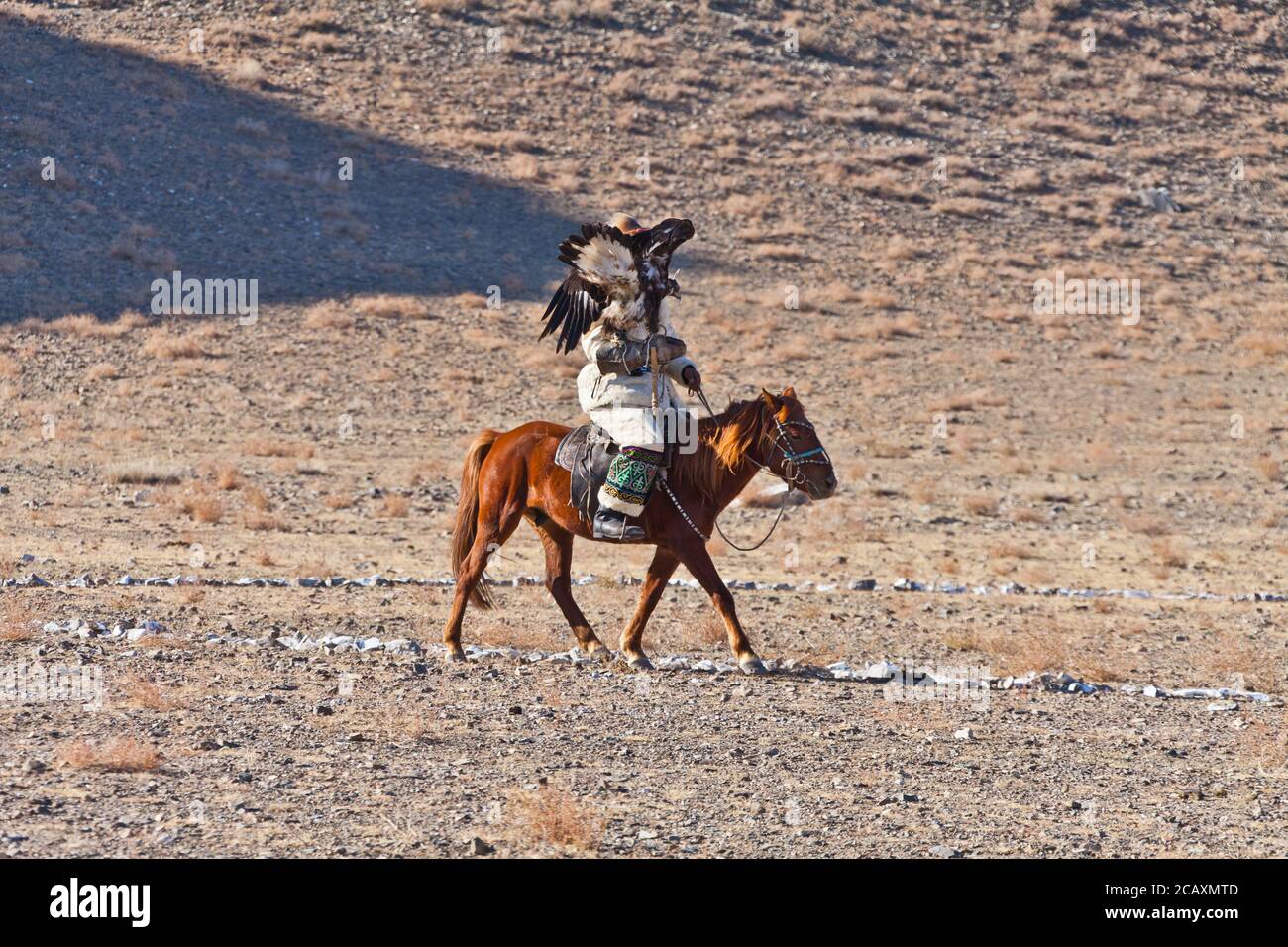 an riding eagle hunter with his golden eagle Stock Photo - Alamy