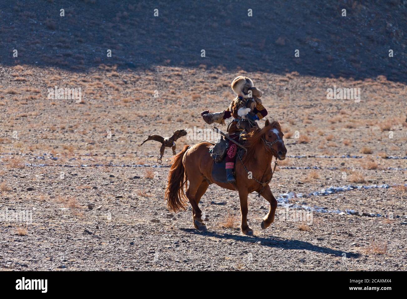 an riding female eagle hunter is training her golden eagle Stock Photo ...