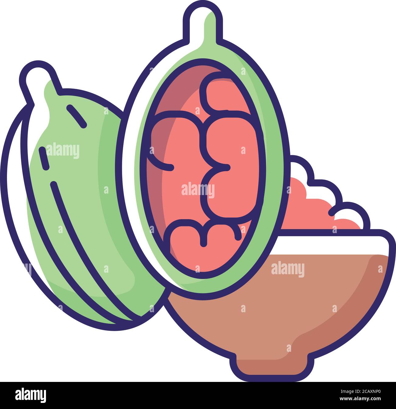 Cardamum pods Stock Vector Images - Alamy