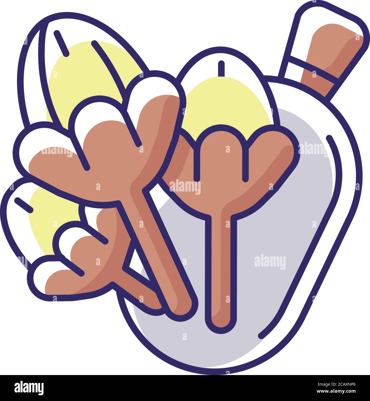 Clove tree Stock Vector Images - Alamy