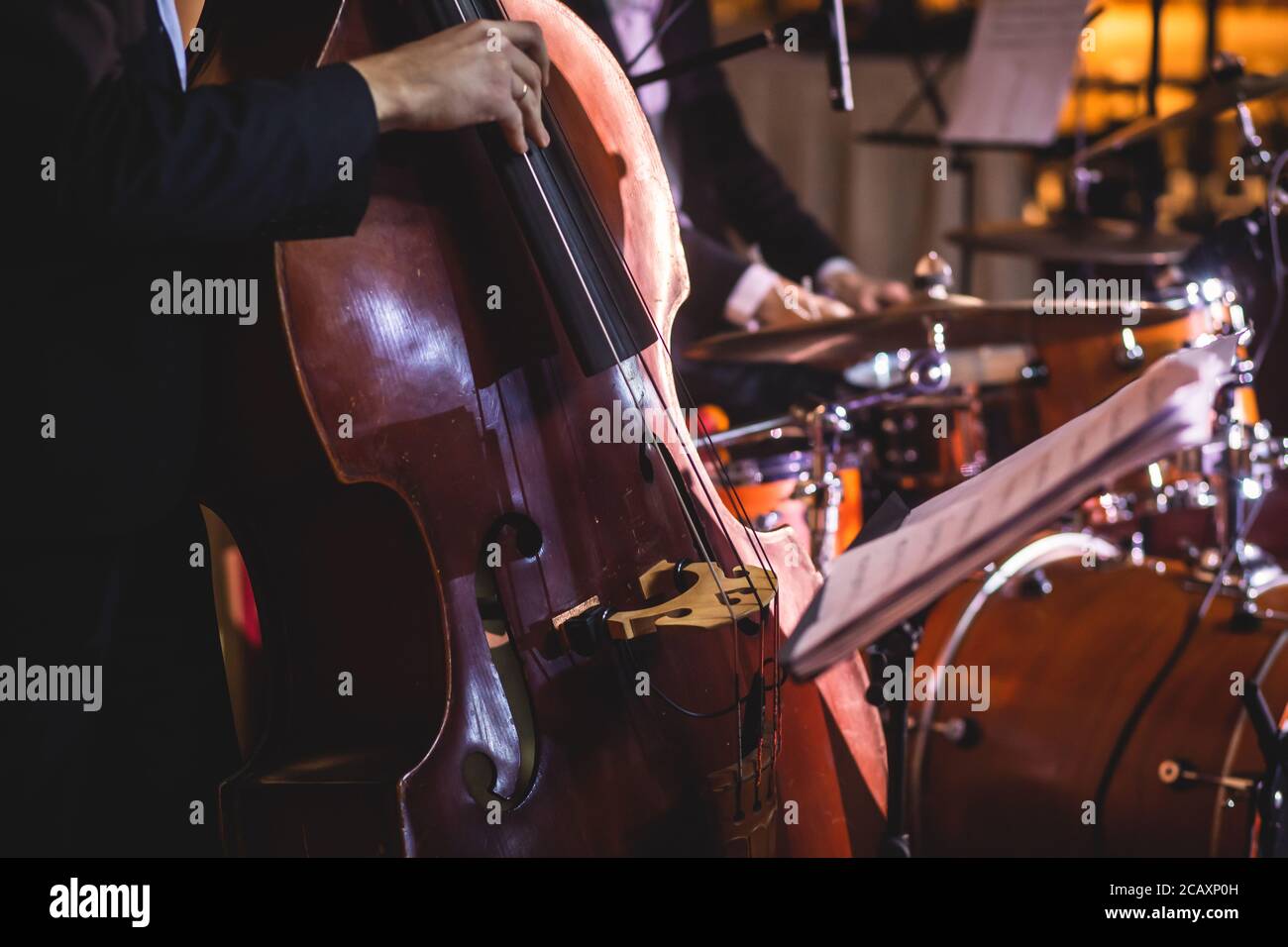Concert view of a contrabass violoncello player with vocalist and ...