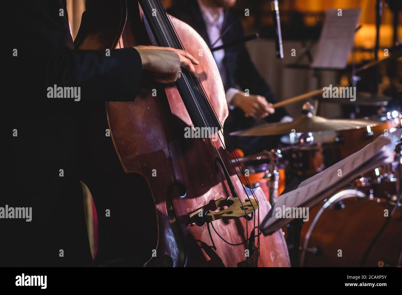 Concert view of a contrabass violoncello player with vocalist and ...