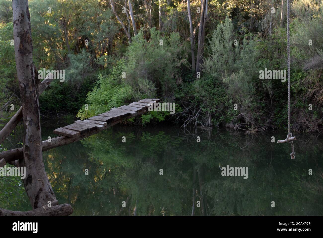 Tree swing over creek hi-res stock photography and images - Alamy