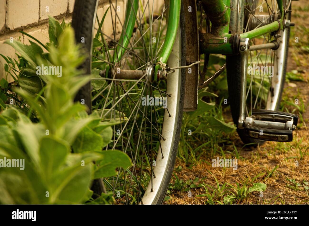Russian wheel hi-res stock photography and images - Alamy