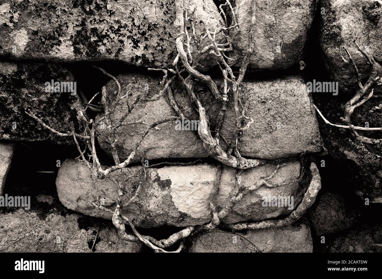 Crumbling stone wall texture hi-res stock photography and images - Alamy