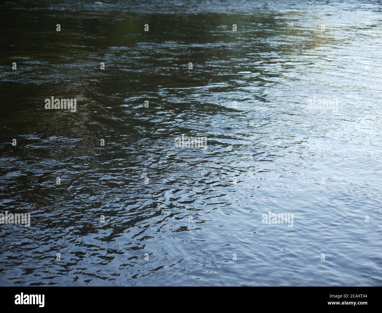 Ripple grasses hi-res stock photography and images - Alamy