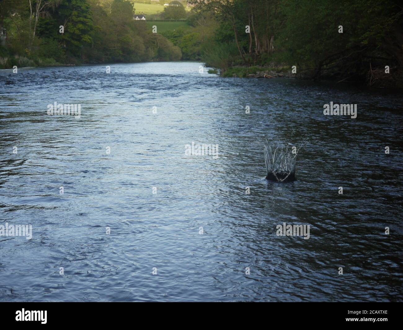 Close house riverside nature hi-res stock photography and images - Alamy