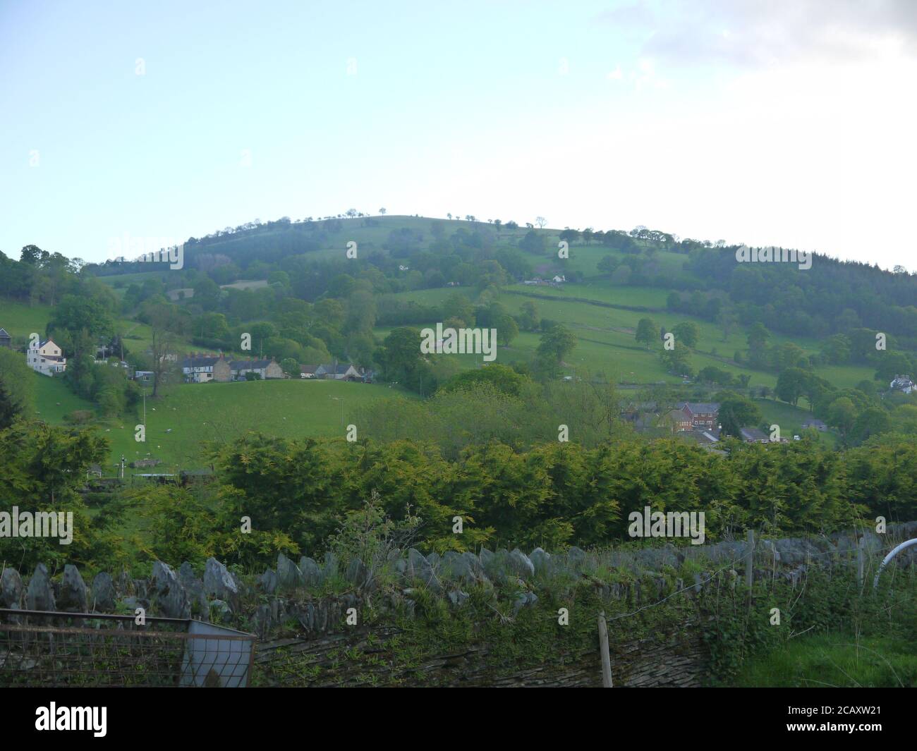 British forest landscape hi-res stock photography and images - Alamy