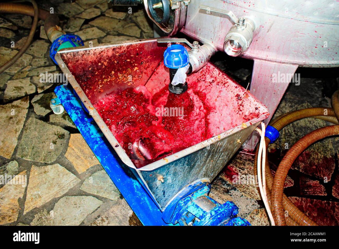 Wine making process hi-res stock photography and images - Alamy