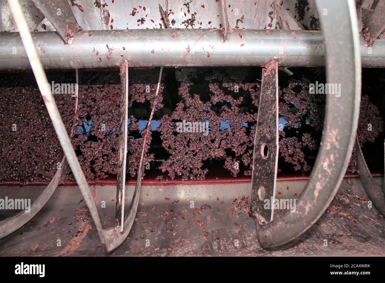 Press the grapes production hi-res stock photography and images - Alamy