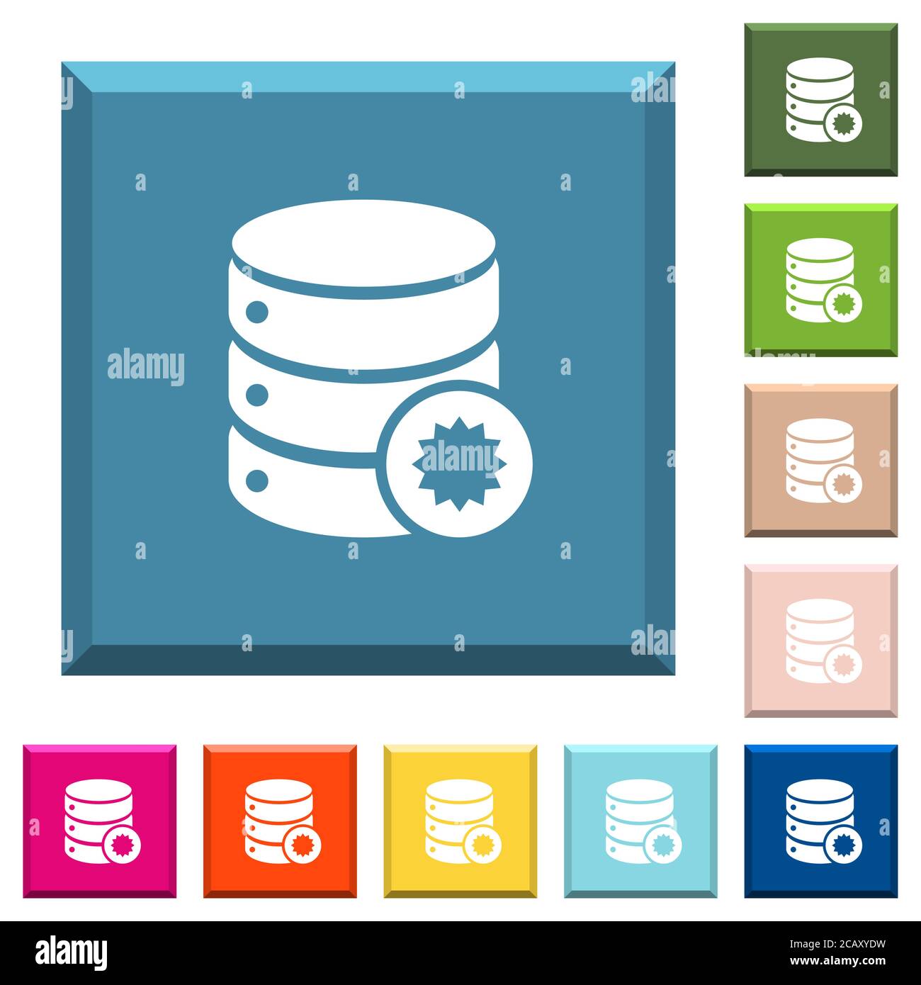 Certified database white icons on edged square buttons in various ...