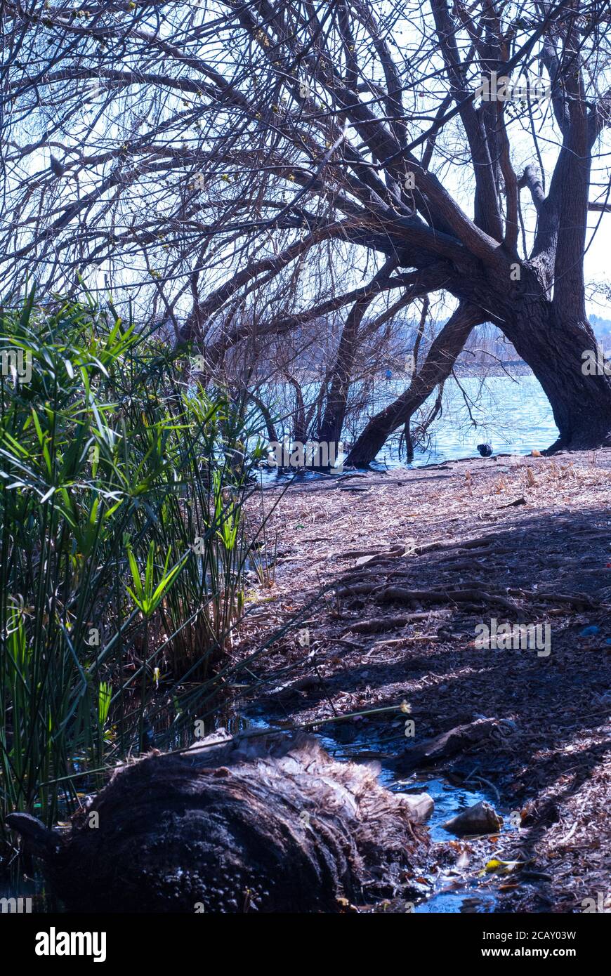Riverbed in South Africa Stock Photo - Alamy