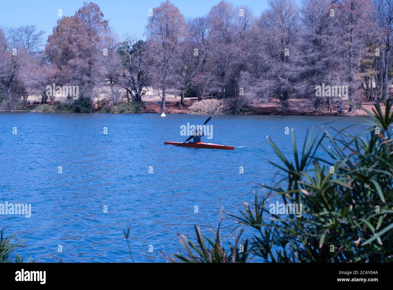 African winter hi-res stock photography and images - Alamy