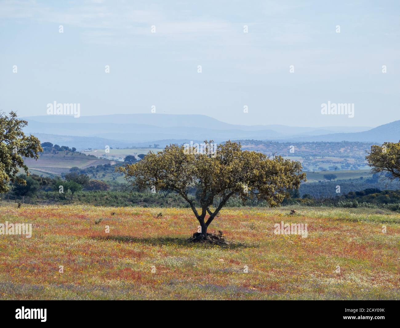 Iberian landscape hi-res stock photography and images - Alamy