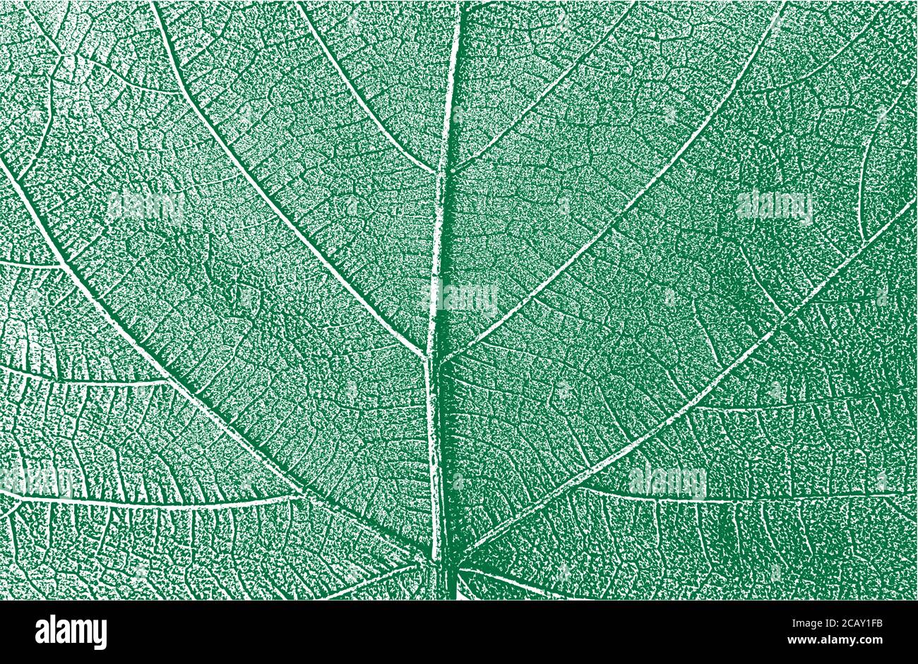 Leaflet background hi-res stock photography and images - Alamy