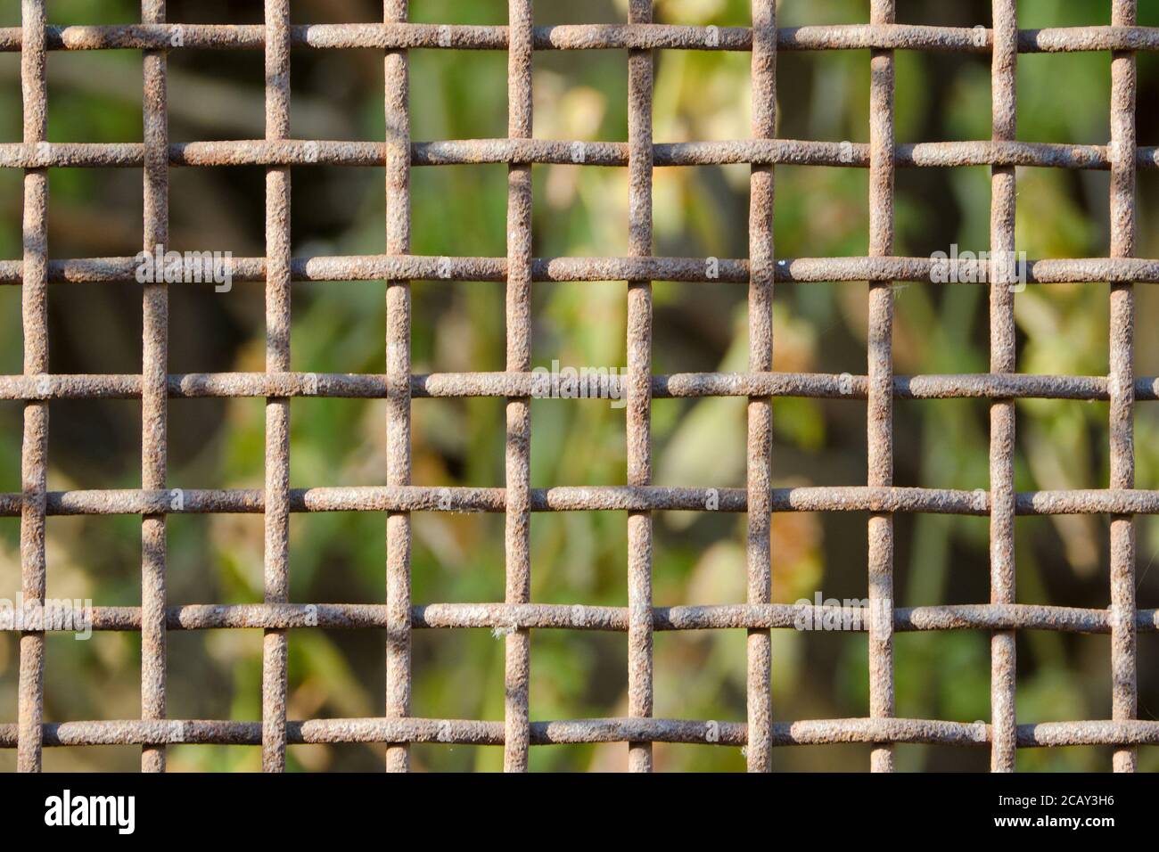 Rusty cage close up. Green Background Stock Photo - Alamy