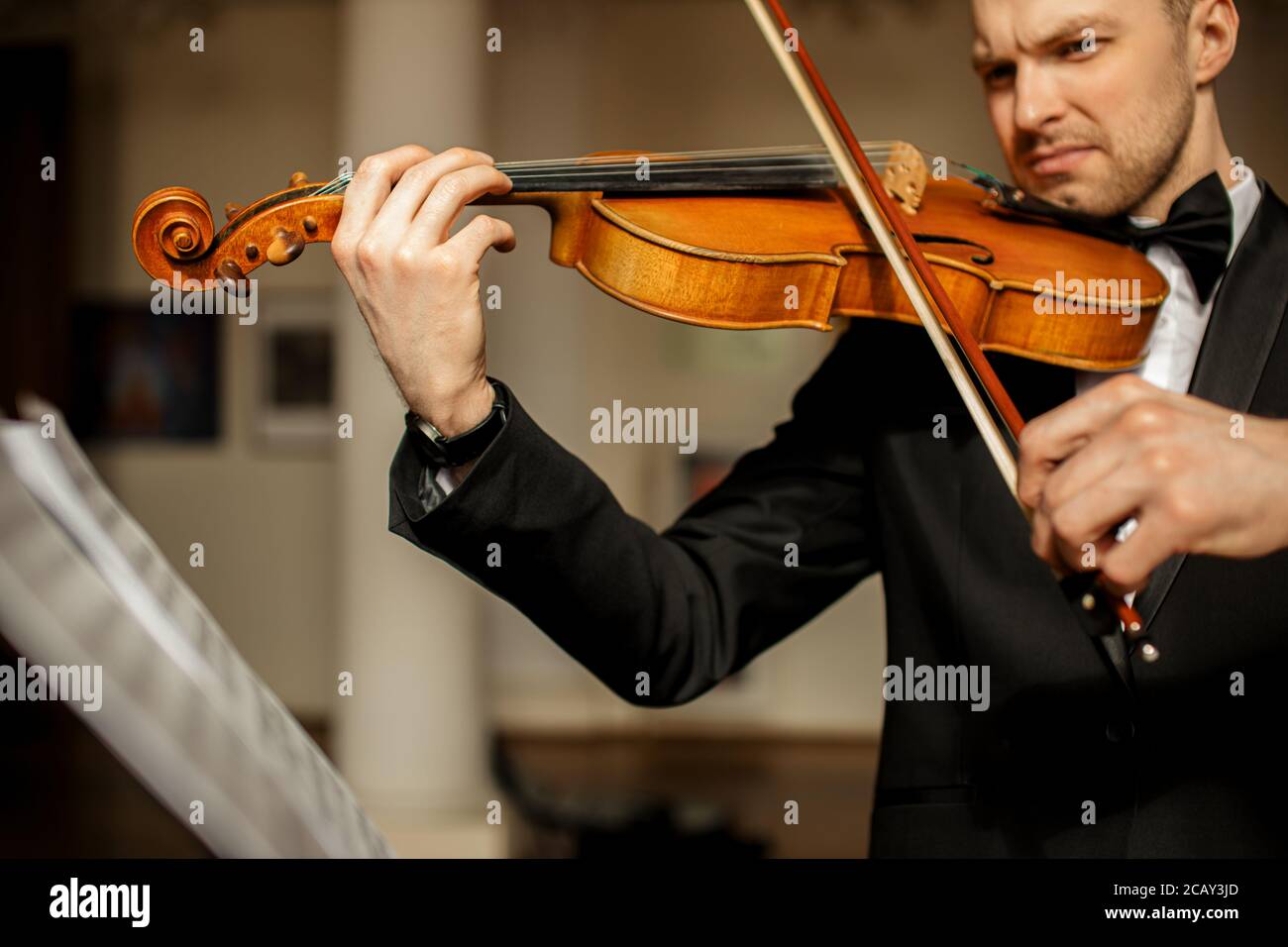 Professional instrumentalist hi-res stock photography and images - Alamy