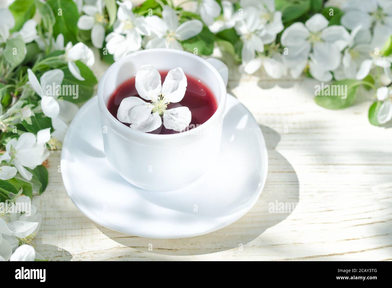 Red tea with apple blossom. White background, natural light Stock Photo ...