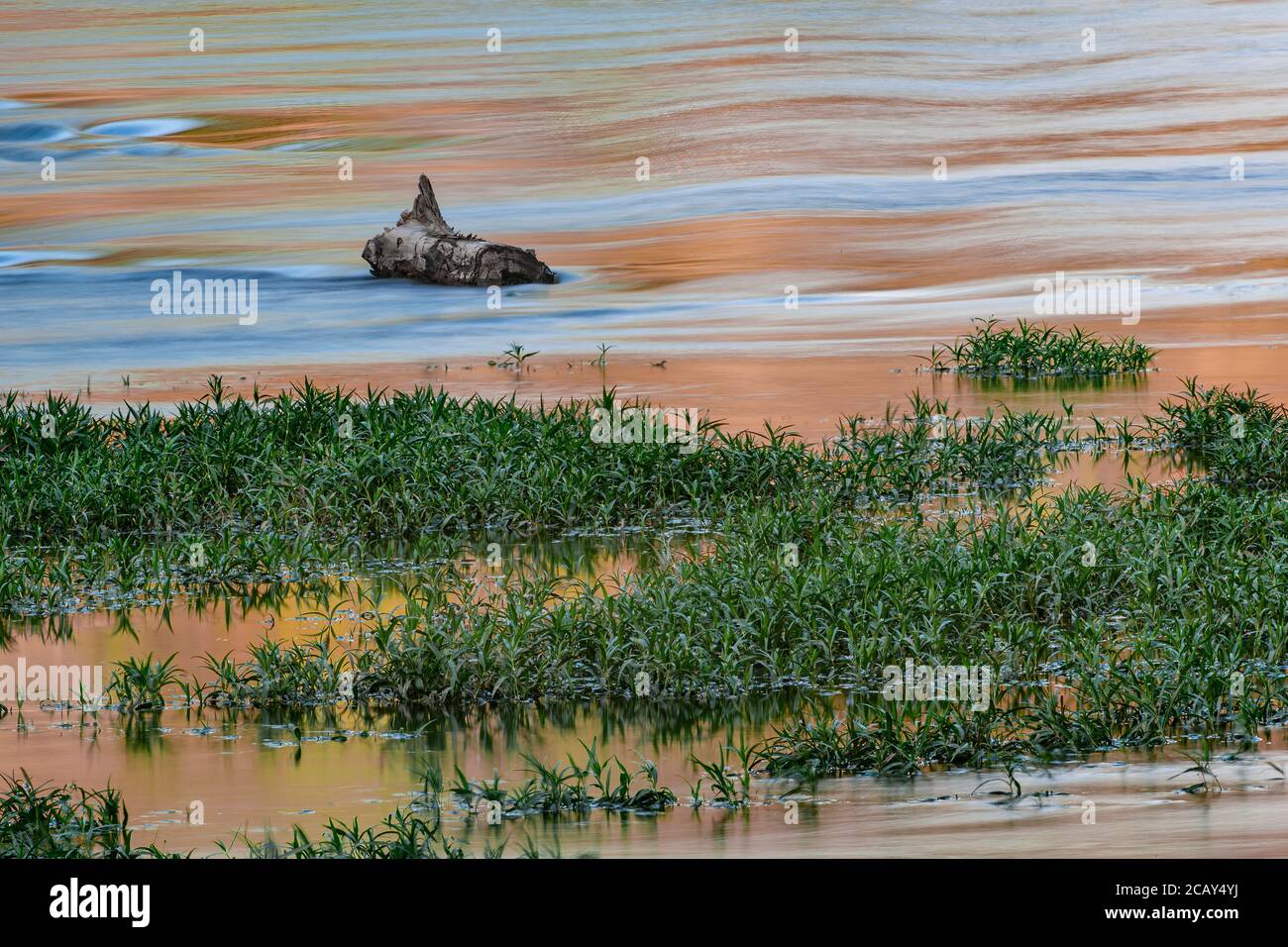 Log with flowing blurry water on New River, West Virginia, USA Stock ...
