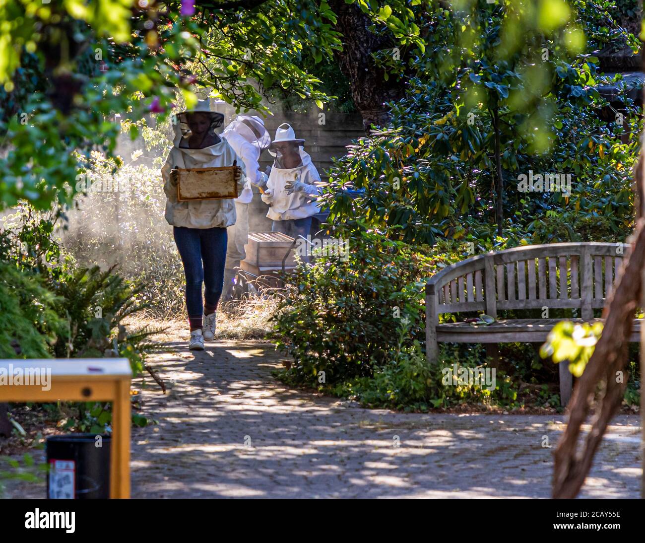 Human beehive hi-res stock photography and images - Alamy