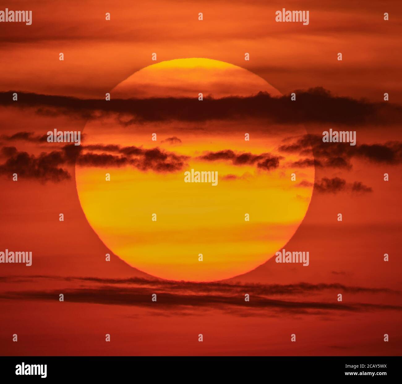 Facing slightly towards hi-res stock photography and images - Alamy